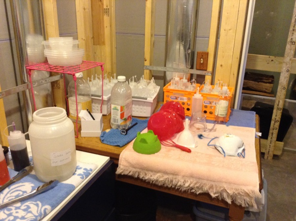Hand Dyeing Process