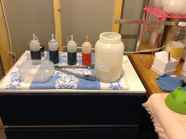 Hand Dyeing Process